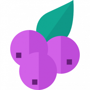 Spécial diabète : Recette de smoothie aux fruits rouges sans sucre ajouté